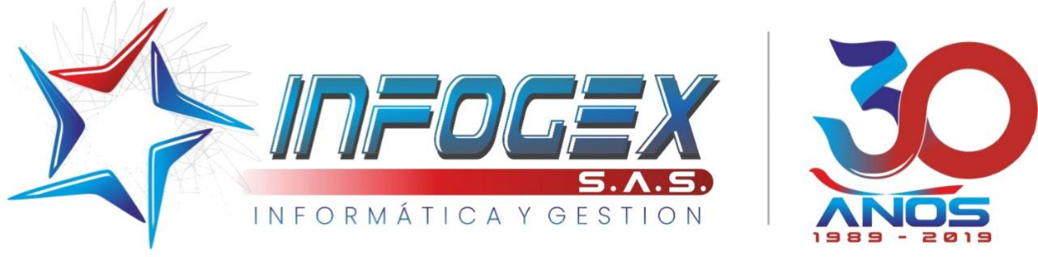 Infogex – Empresa de informática